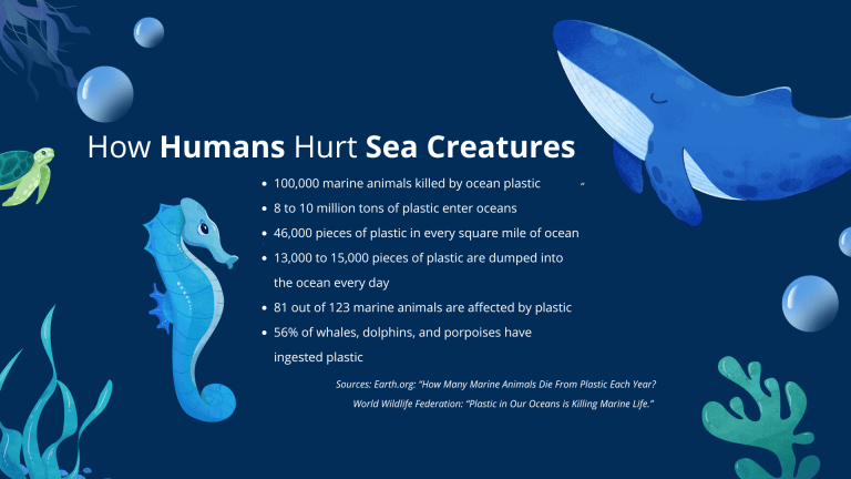 Column: Humans must unite to protect sea creatures from ocean pollution